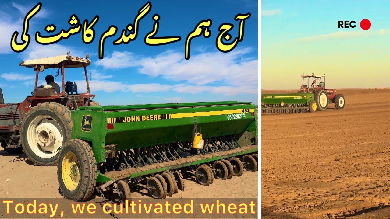 Agricultural in Saudi Arabia | Today we cultivated wheat | its khan ...