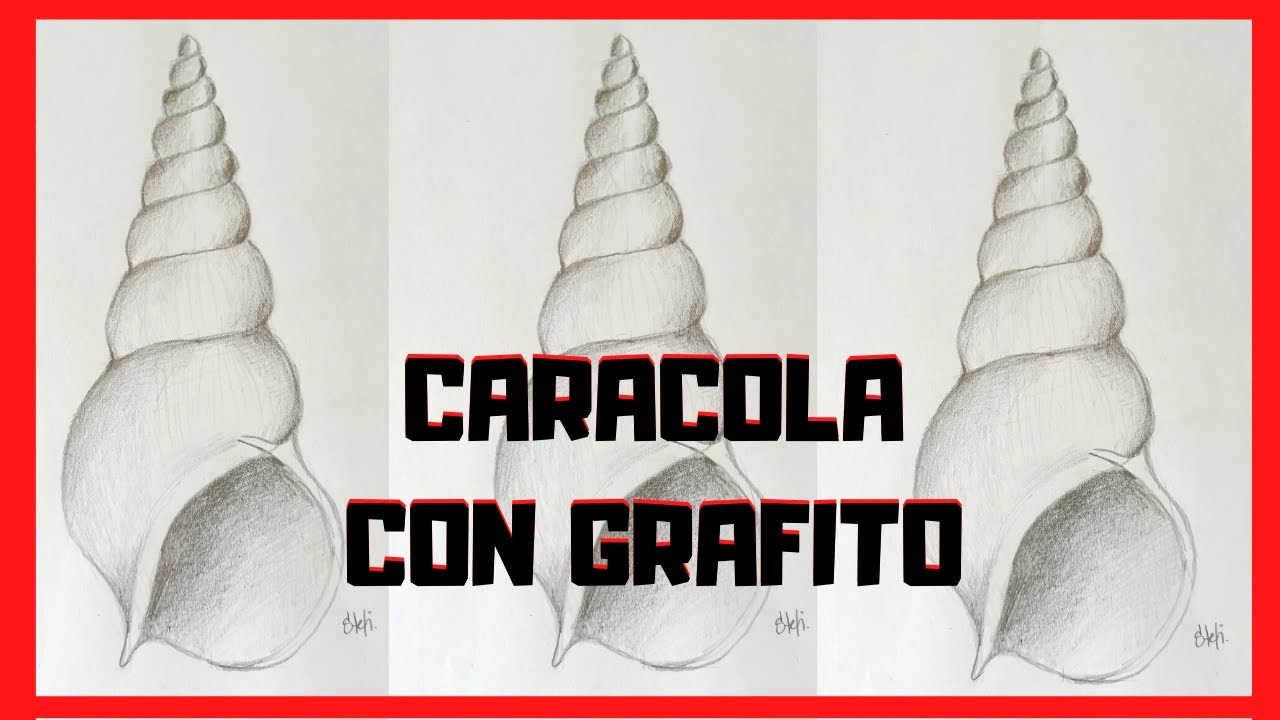 CÓMO DIBUJAR CARACOLA CON GRAFITO - YouTube