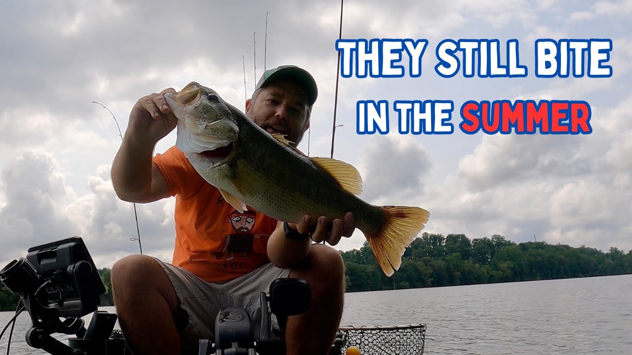 Bass Still Bite During the Summer: Exhibit A - YouTube