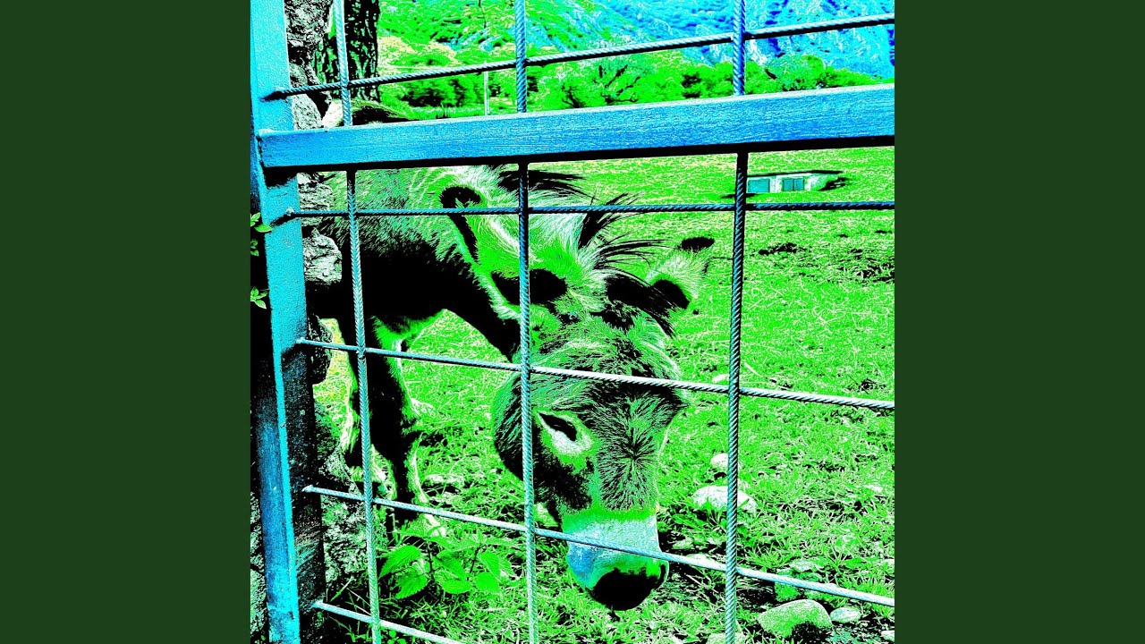 timmy's generic lesson - YouTube