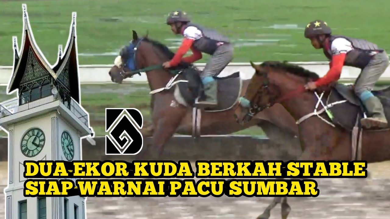 DUA Kuda Amunisi BERKAH STABLE Siap Berpacu Di Event WALIKOTA Dan ...