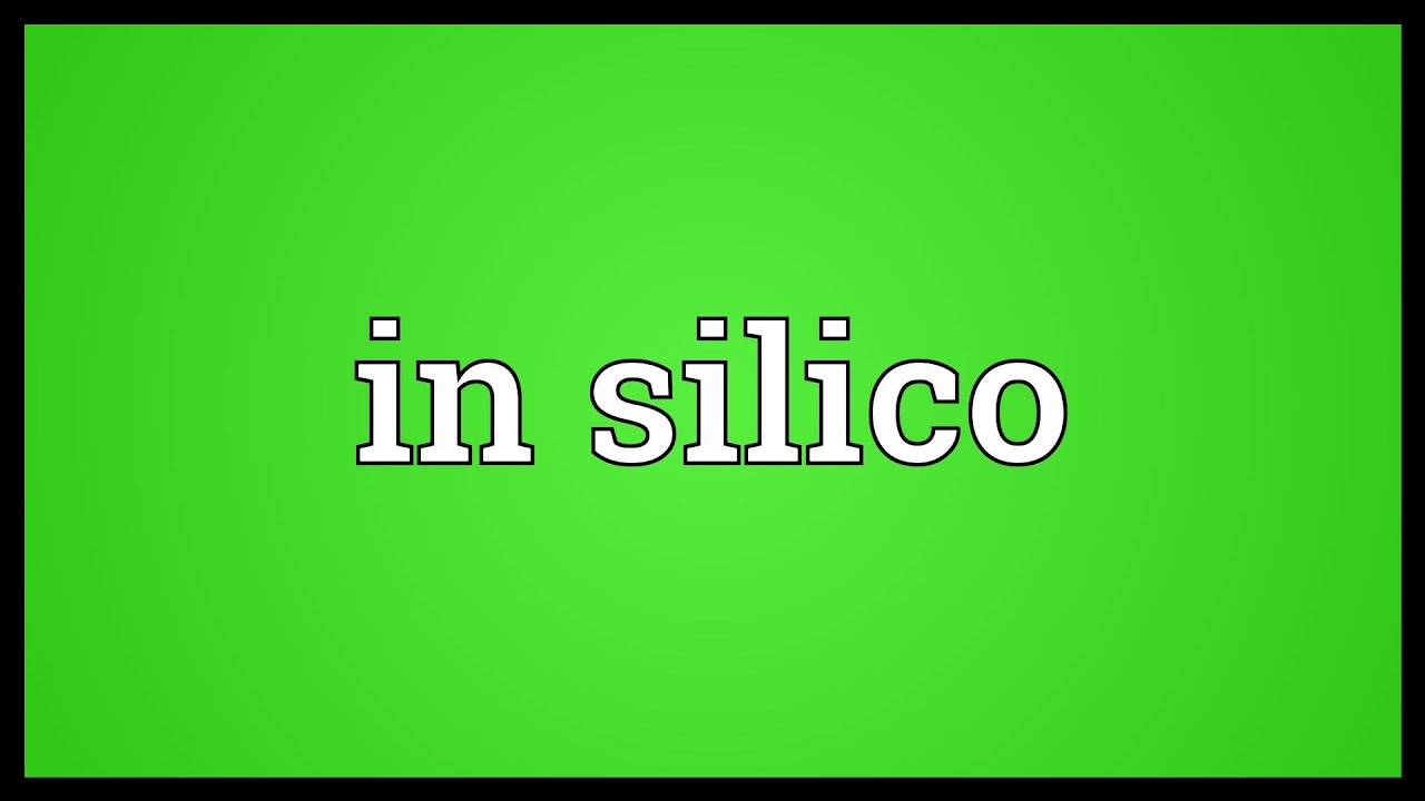 In silico Meaning - YouTube