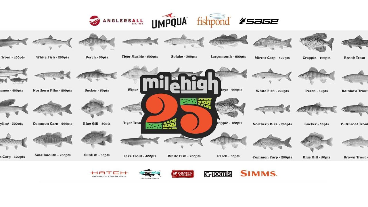 2020 Mile High 25 Fly Fishing Tournament | DAY 1 RECAP - YouTube