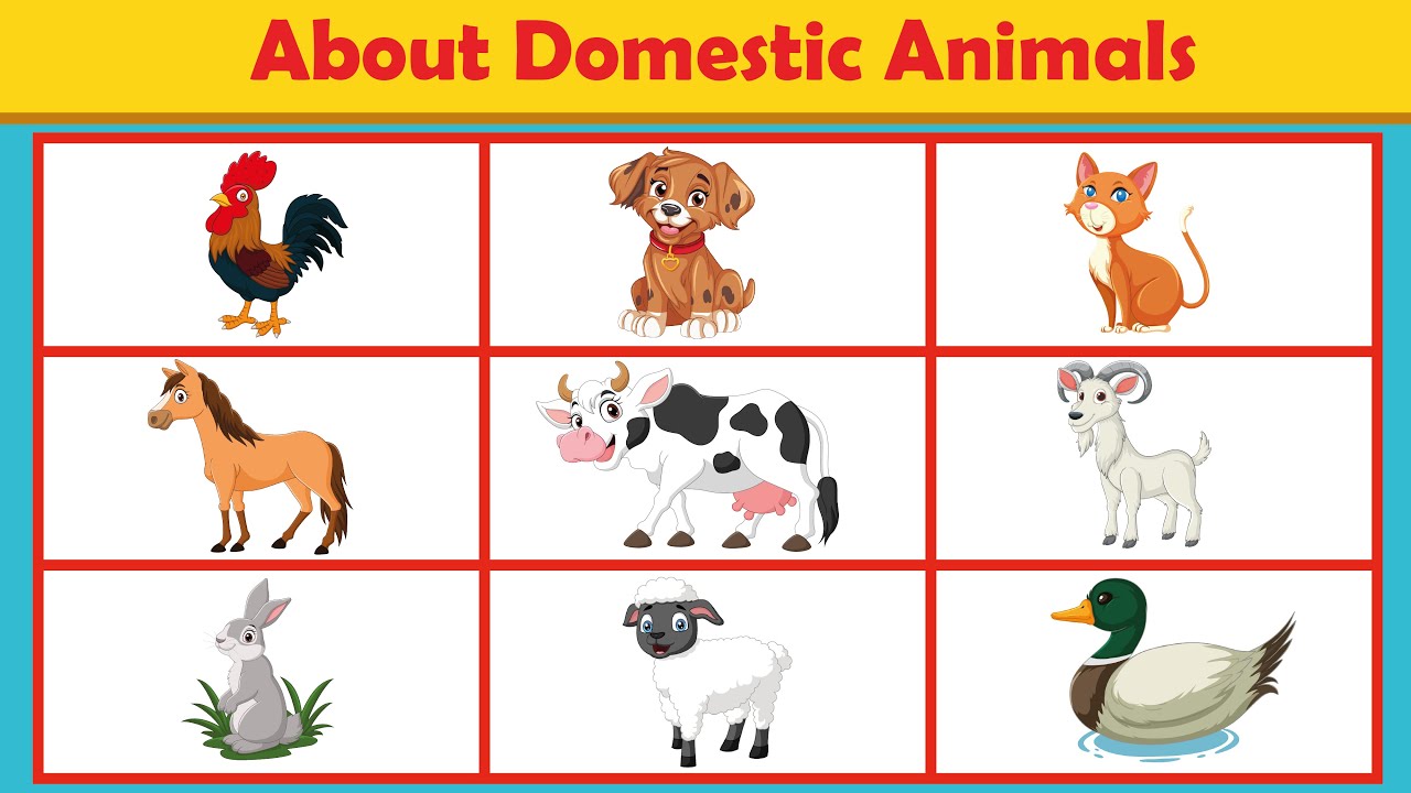 About Domestic Animals II Farm animals for kids II Pet Animal and Bird ...