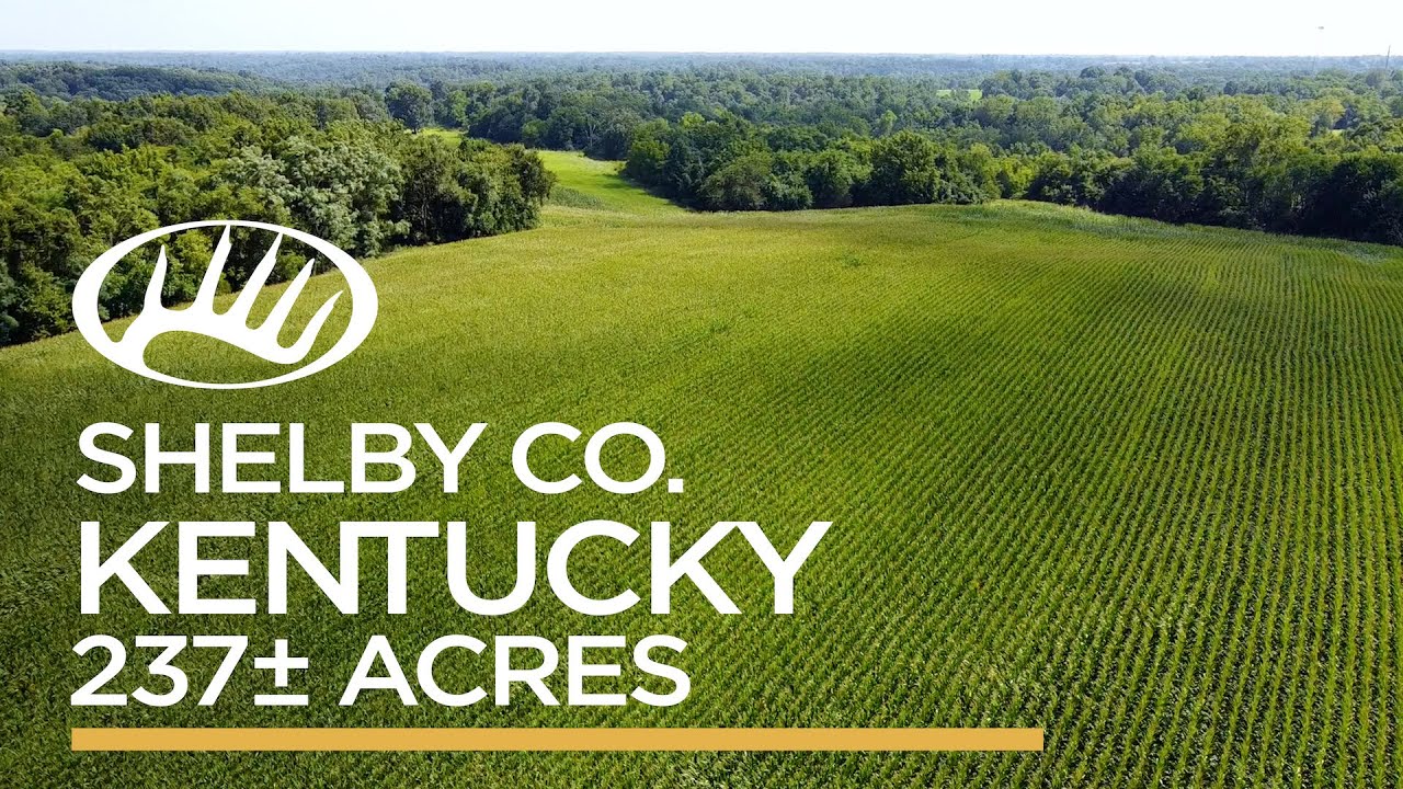 Shelby County, KY 237+ Acres - YouTube
