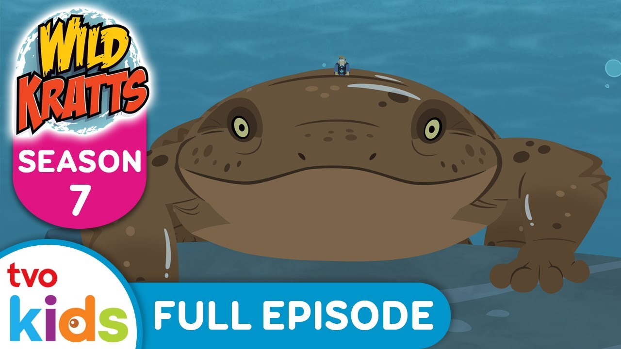 Salamander Streaming 🦎 | WILD KRATTS 🦊 | Animal, Nature, & Science ...