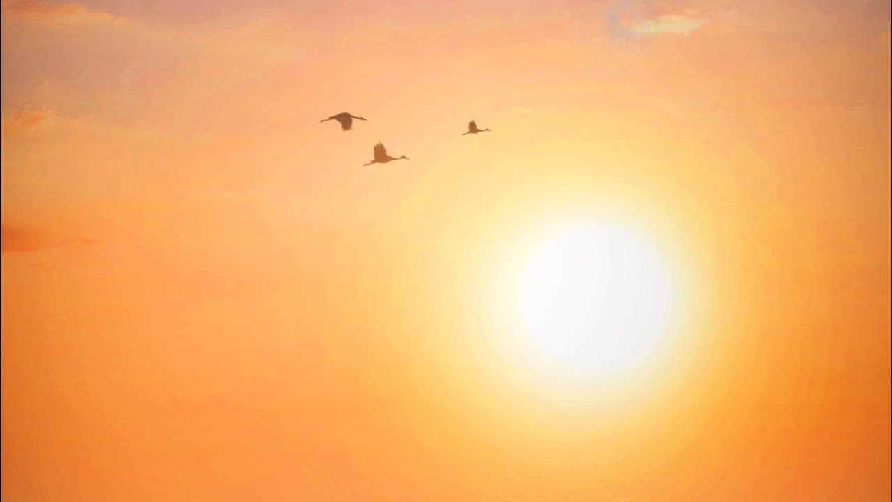 music calm - amazing view -relax -sleep - YouTube