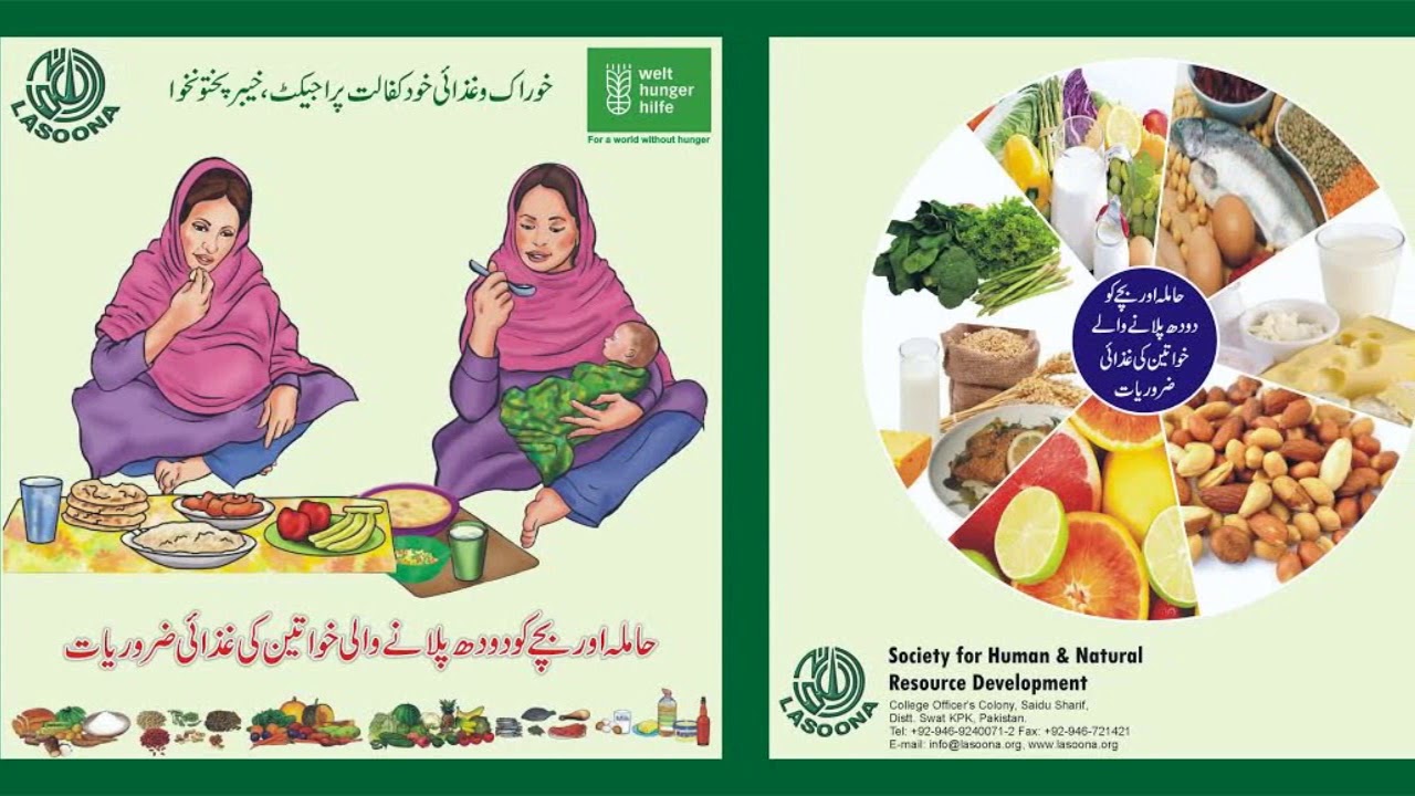 LASOONA Documentary on Nutrition Sensitive and Integrated model - YouTube