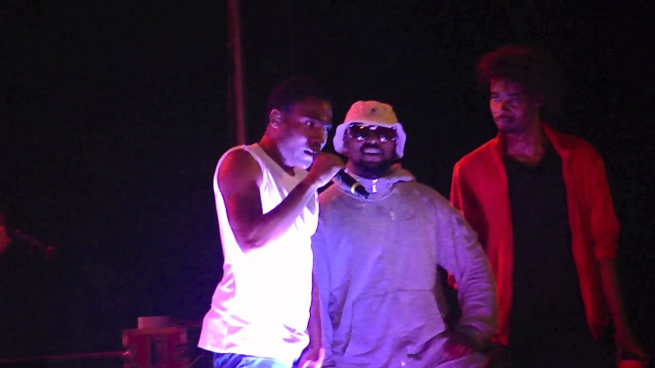 Danny Brown Childish Gambino & ScHoolboy Q Live @ Summer Stage - YouTube