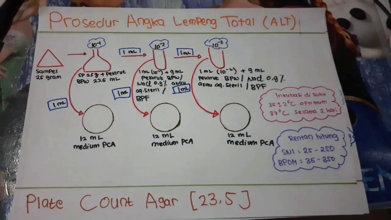 Prosedur Angka Lempeng Total (ALT) dan Angka Kapang Khamir (AKK)🦠🧪🧫 ...
