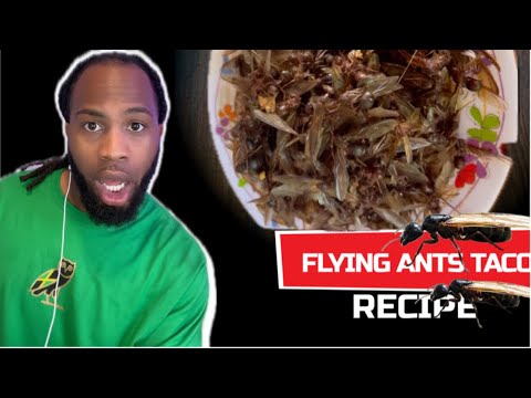 Flying ants taco 🌮! Somebody come look at this recipe!!! #reactionvideo ...