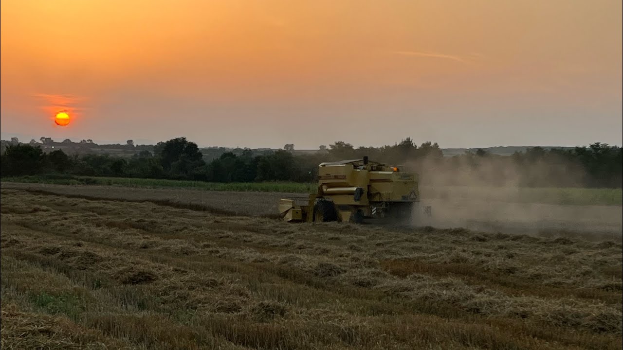 Getreideernte 2023 & New Holland TX34 (GoPro) Vrsa psenice Batinac 2023 ...