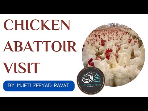 RECENT VISIT TO A POULTRY ABATTOIR | MUFTI ZEEYAD RAVAT