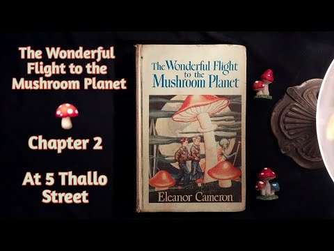 The Wonderful Flight to the Mushroom Planet (Chapter 2) At 5 Thallo ...