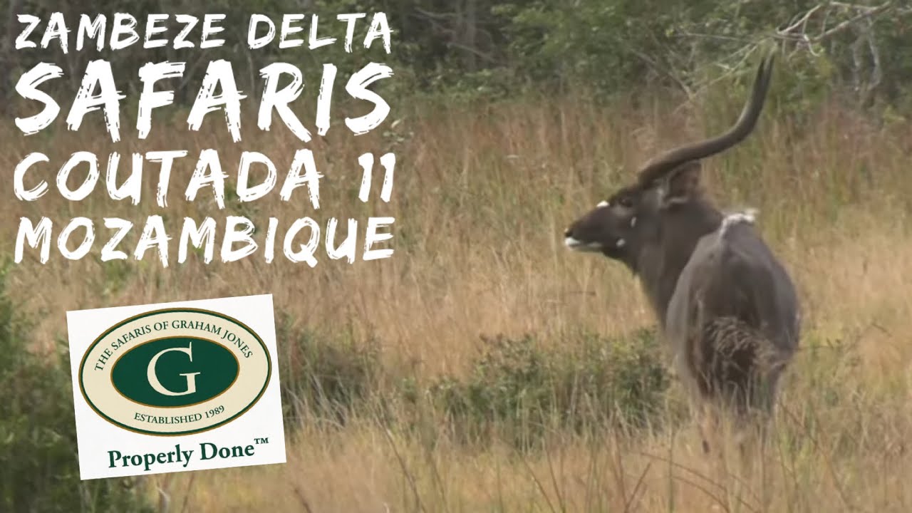 Safari in Mozambique with The Safaris of Graham Jones - YouTube