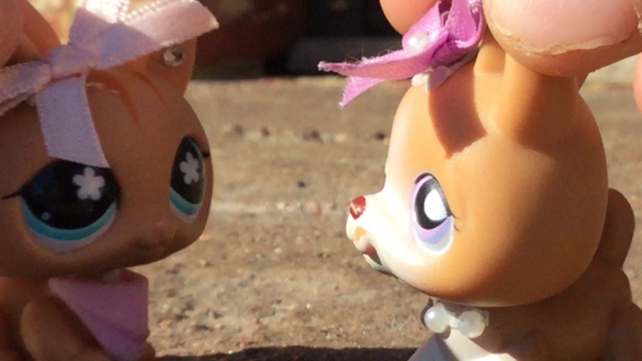 Lps Mv|Royalty - YouTube