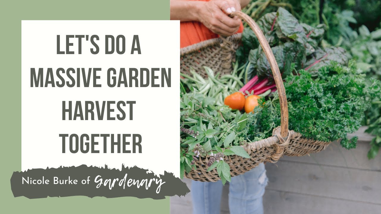 Let's Do a Massive Garden Harvest Together - YouTube