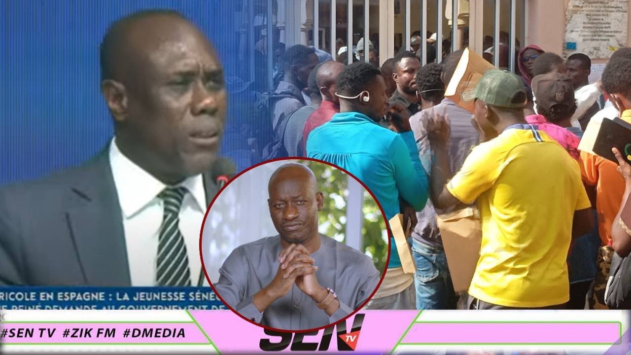 Polémique emploi agricole en Espagne: Djibril Beye fusille Sonko et Cie ...