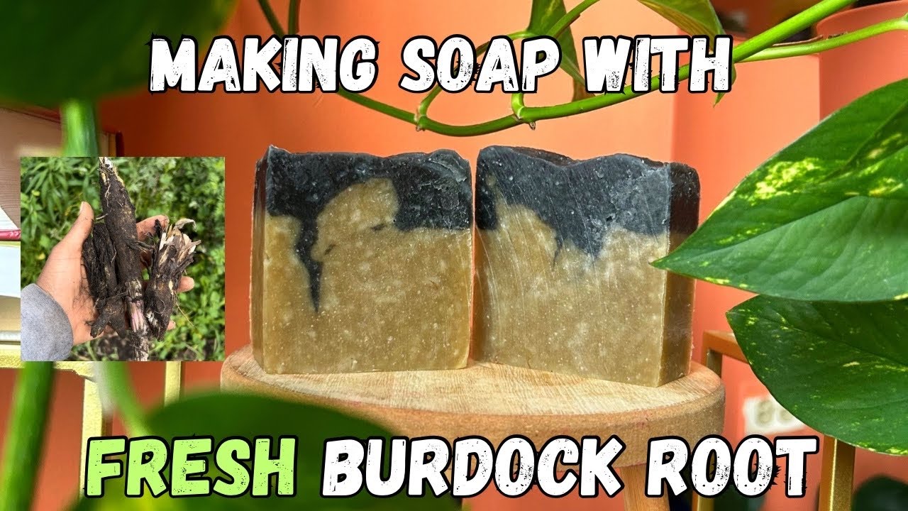 how to use fresh burdock root for acne and skin care - YouTube