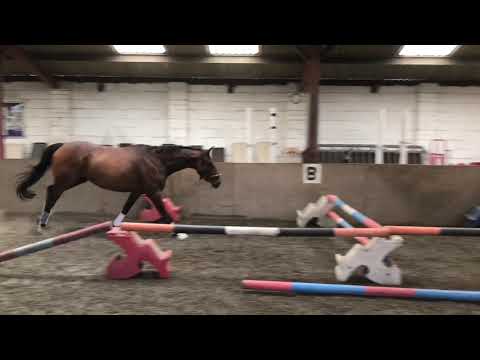 Jumping George! - YouTube