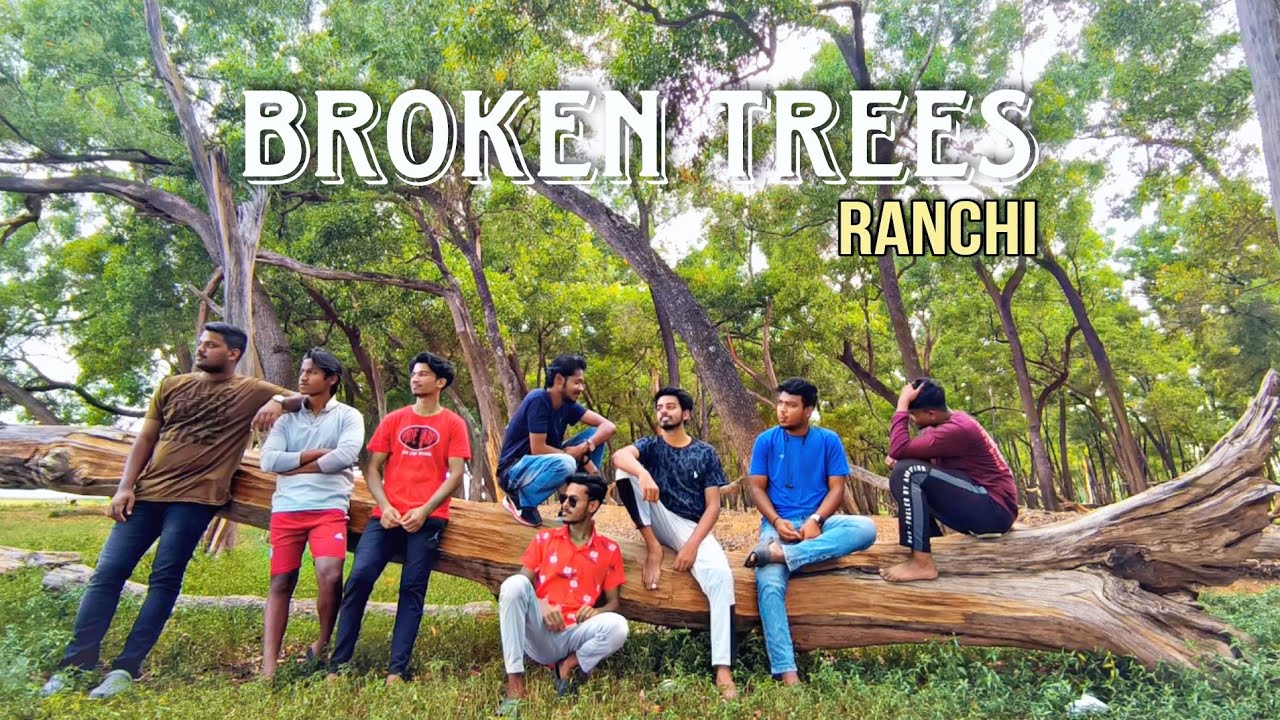 Broken Trees || A place near Rukka Dam || Ranchi..... - YouTube