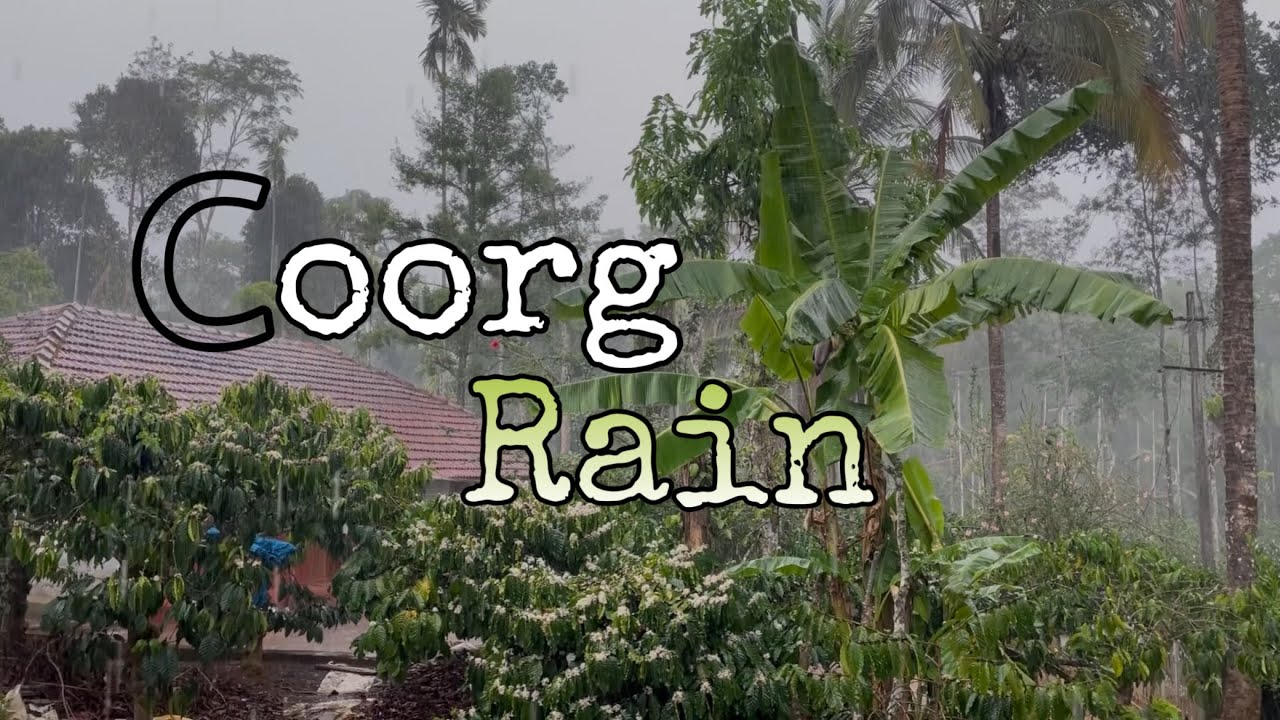 Relaxing Coorg Rain - Thunderstorm & Rain - YouTube