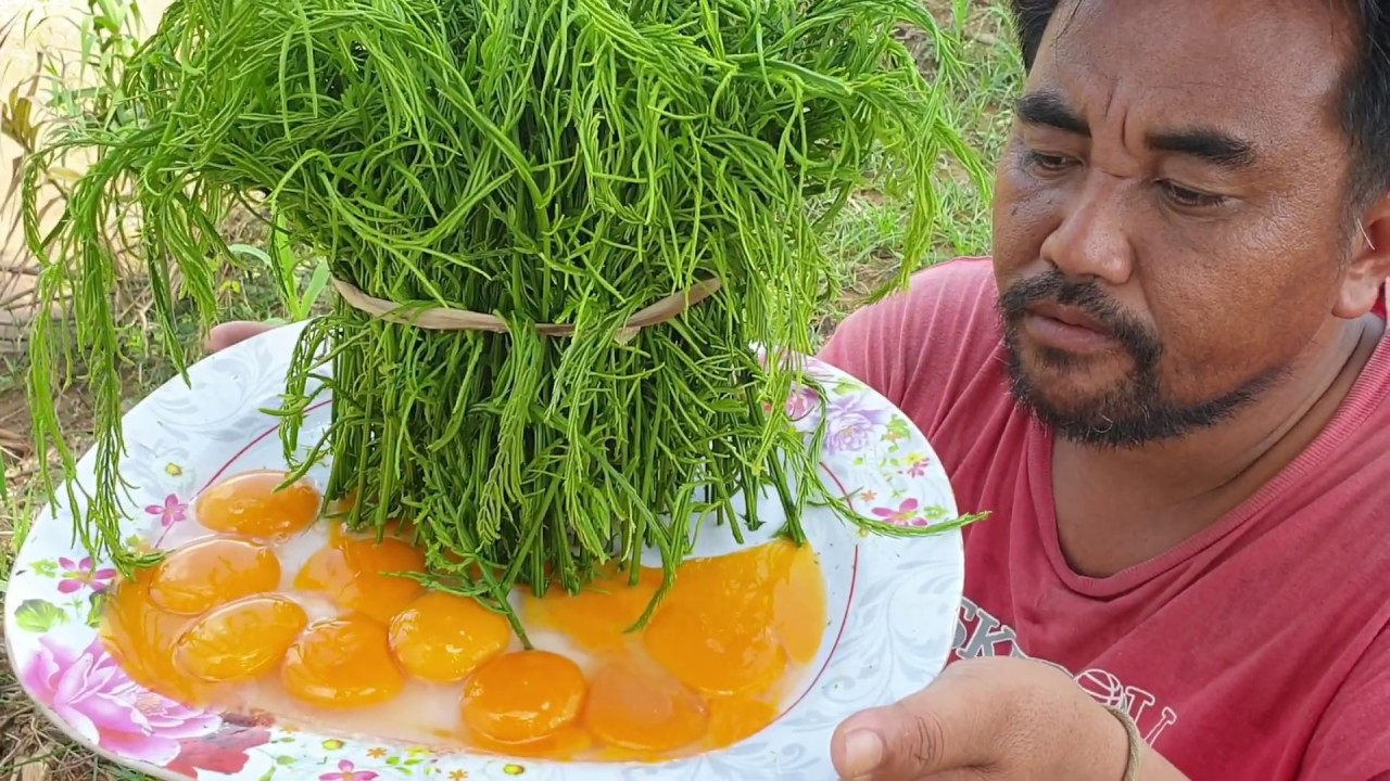 Yummy cooking egg with climbing wattle recipe - eating delicious - YouTube