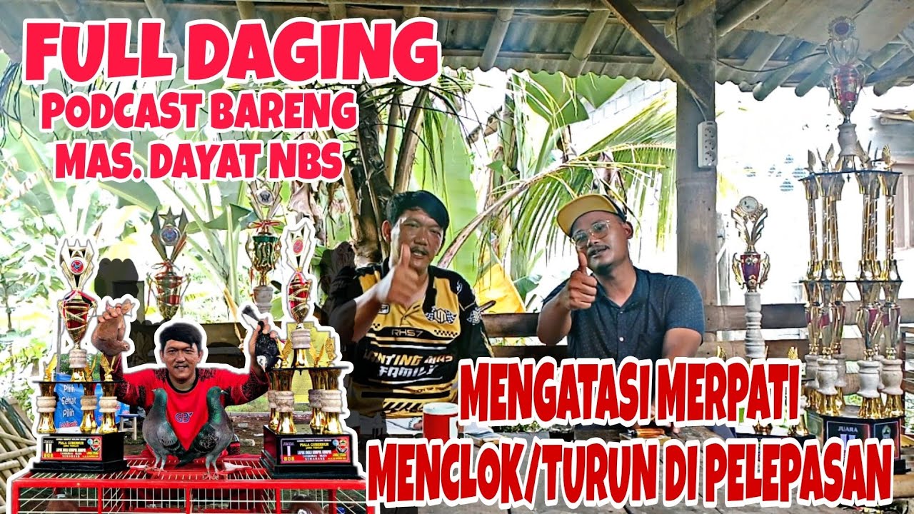 FULL DAGING || MENGATASI MERPATI MENCLOK /TURUN DI PELEPASAN || PODCAST ...