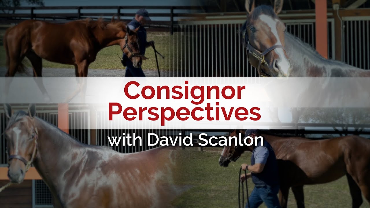 Consignor Perspectives with David Scanlon - YouTube