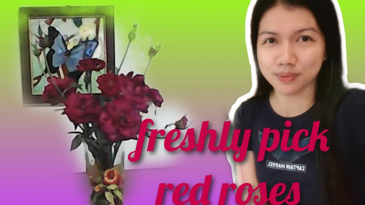 Freshly Pick Red Roses in our Garden - YouTube