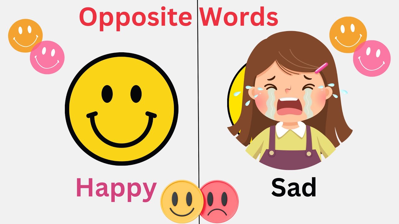 Opposite Words in English l Opposite Words for Kids l Educational Video ...