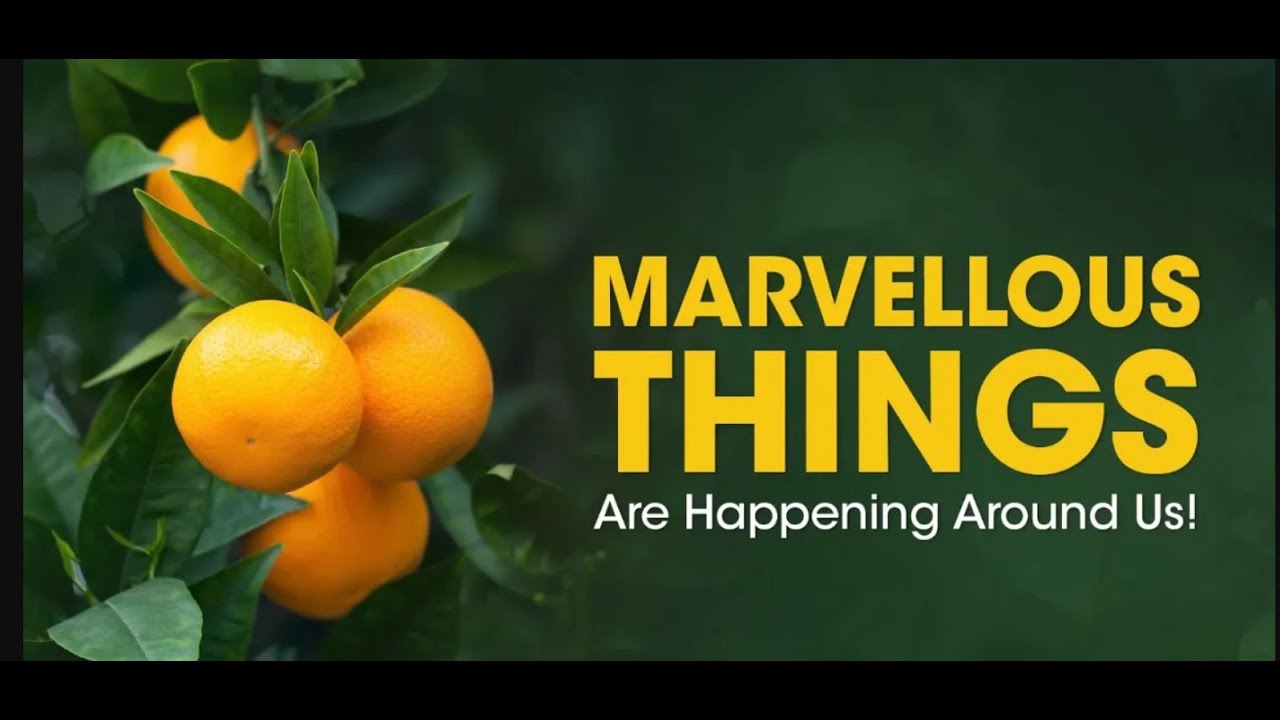 Marvellous Things Are Happening Around Us! | Sri Chanchalapathi Dasa ...