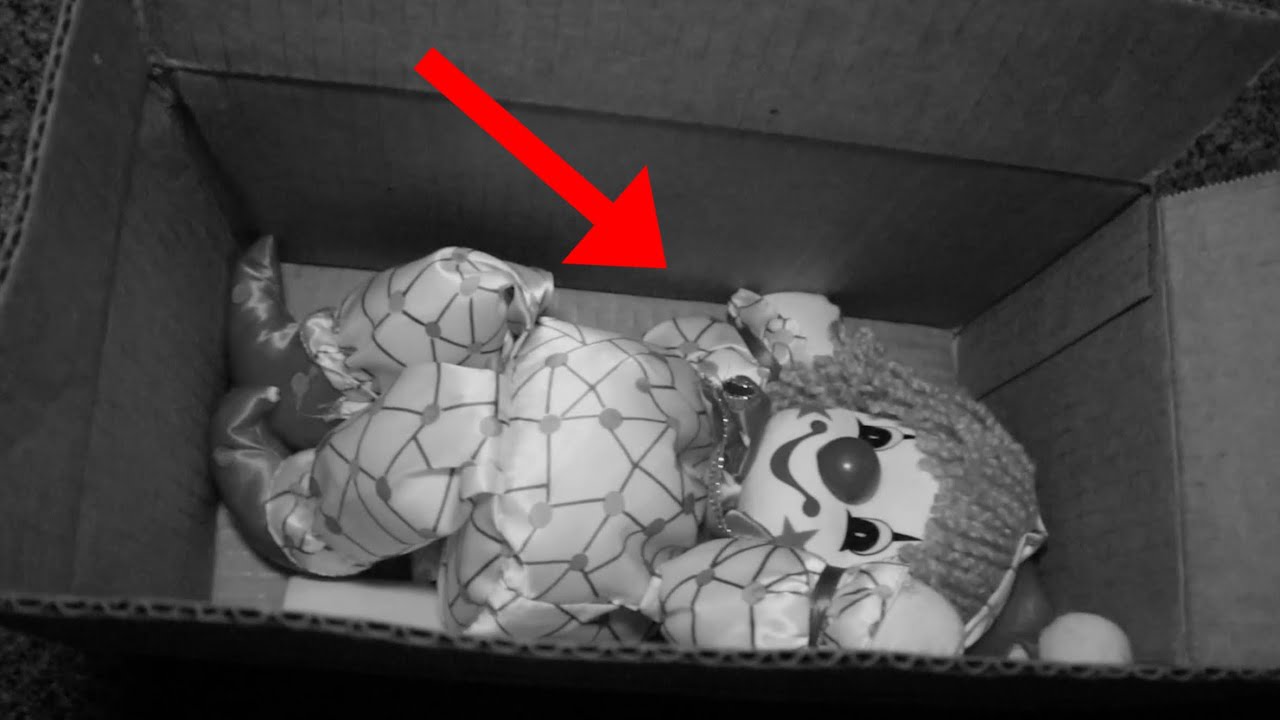 I Bought a Haunted Clown Doll Off the Dark Web - YouTube