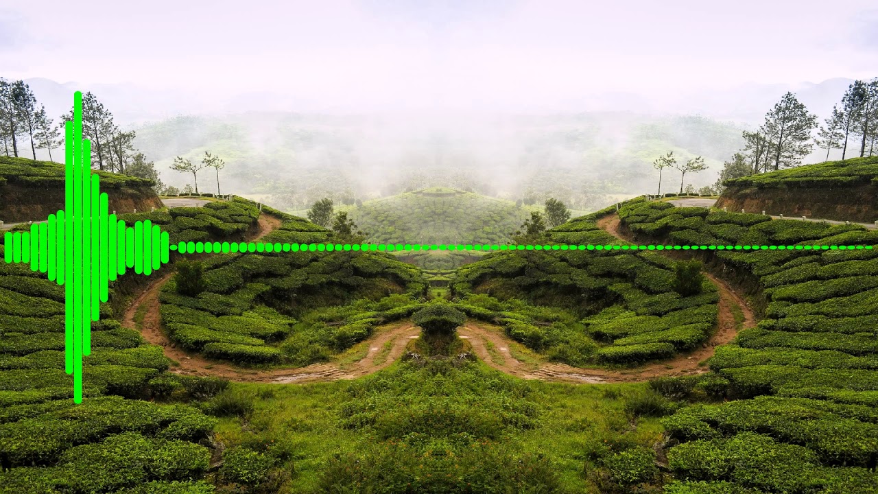 Mr.Sniffy - Crescent - YouTube