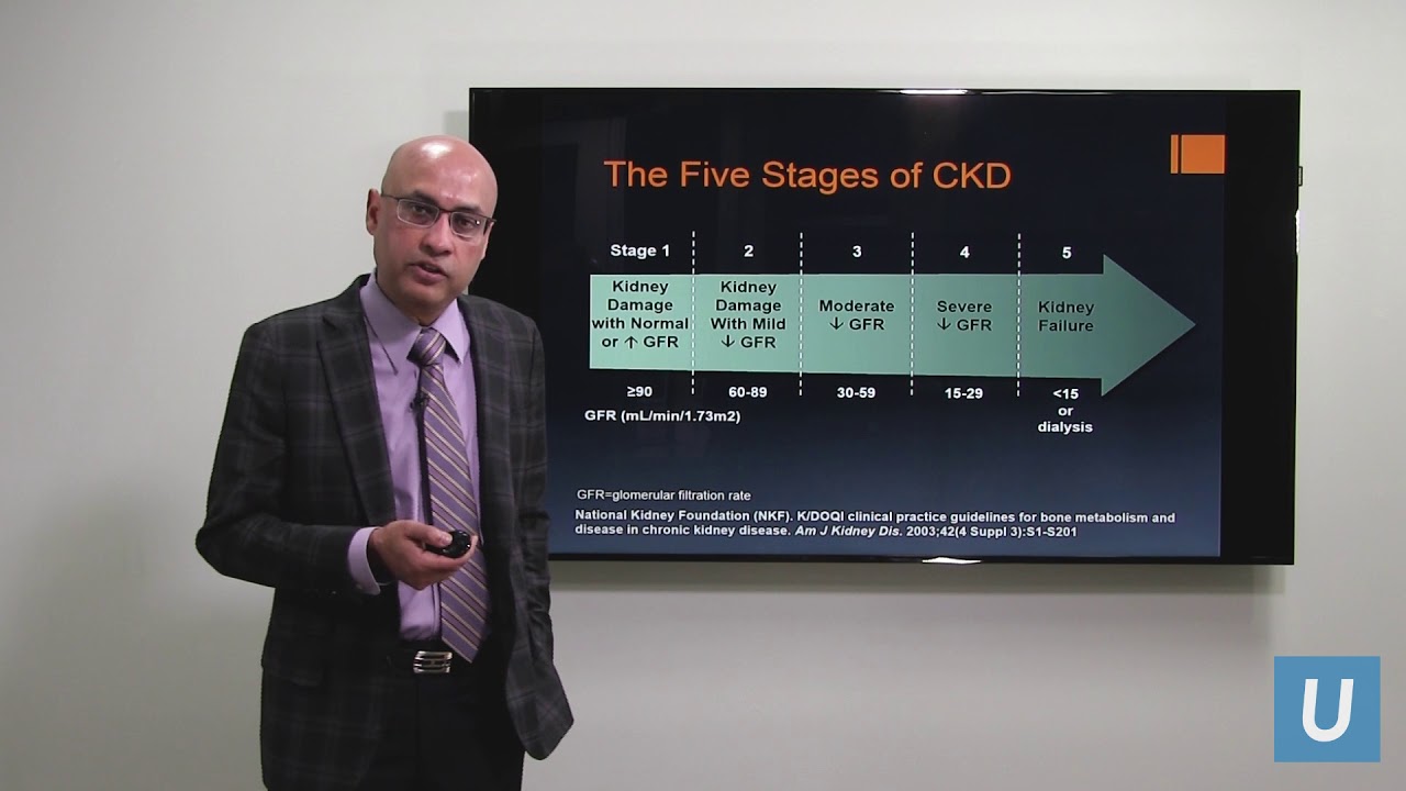 Peritoneal Dialysis | Anjay Rastogi, MD, PhD | UCLAMDChat - YouTube