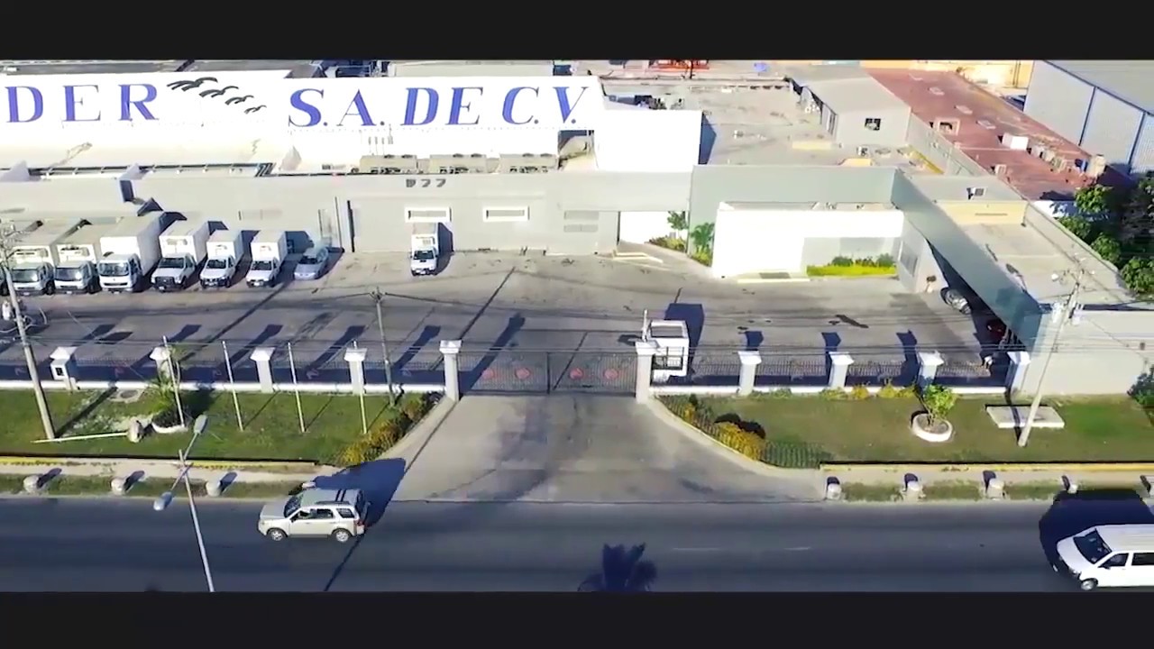 Ocean Leader - YouTube