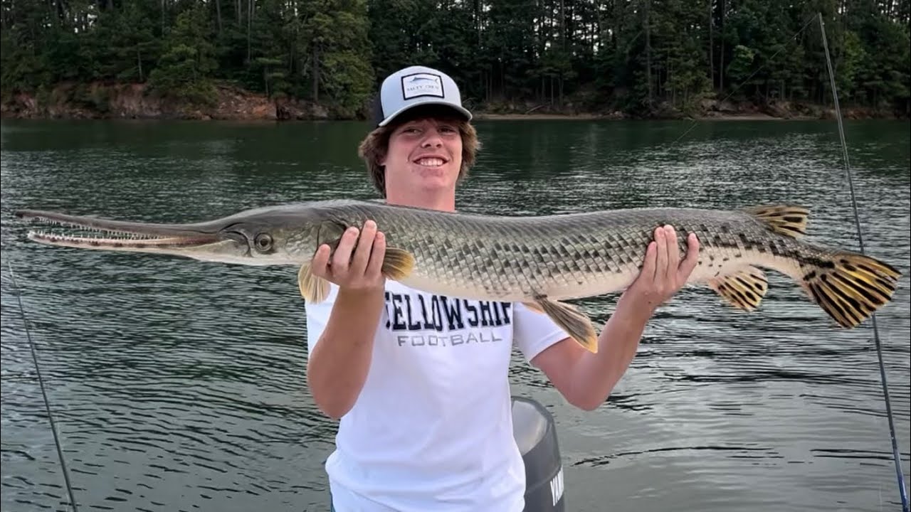 Fishing lake Allatoona for prehistoric giant Gar #2024 #catching #bass ...