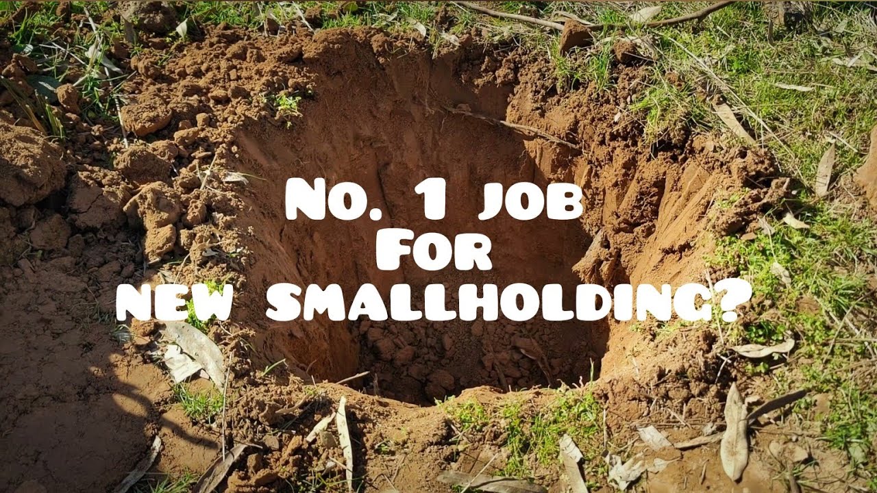 First job to create a new smallholding on raw land: plant trees # ...