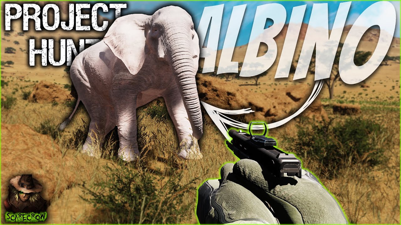 Hunting An ALBINO ELEPHANT With A .22 Caliber Glock... Project Hunt ...