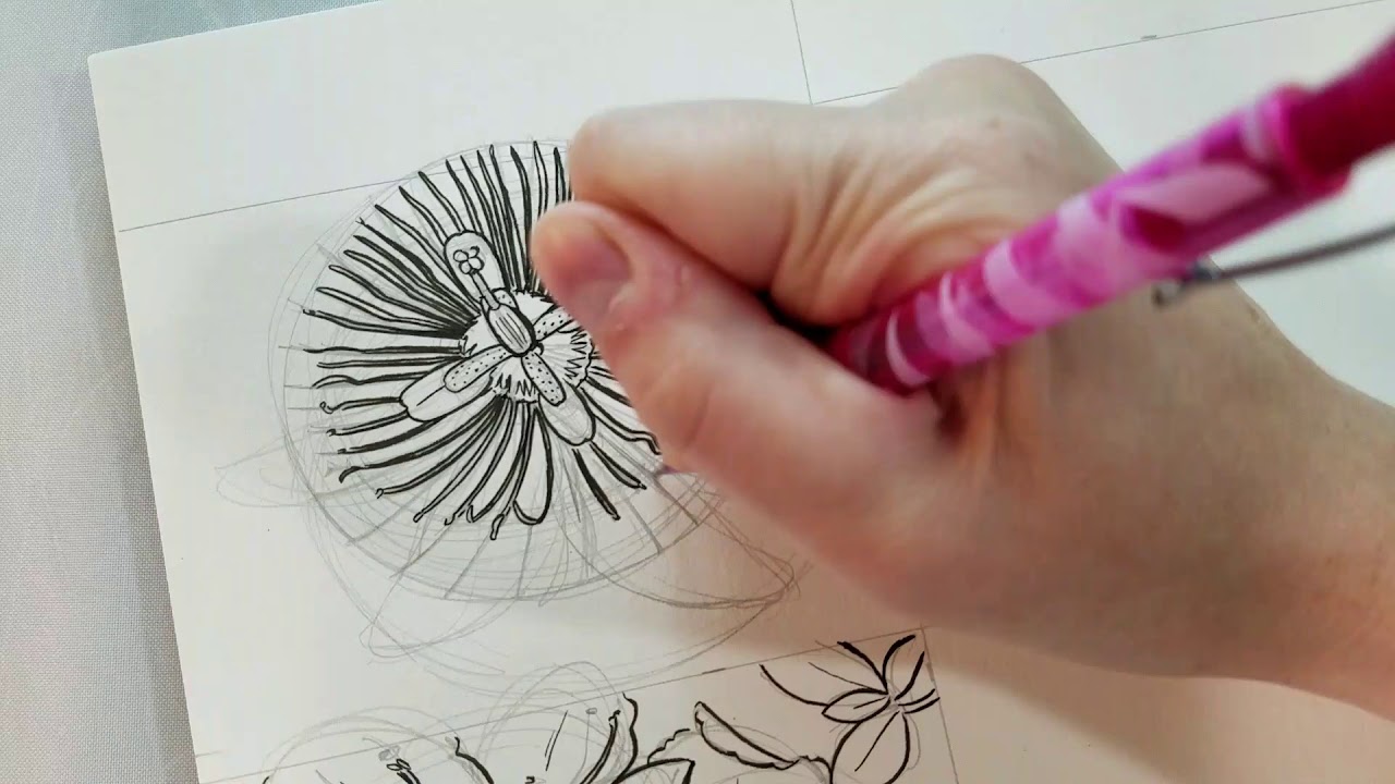 How to Draw 🏵️Passionflowers🏵️ - YouTube