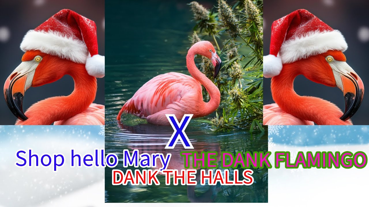 Dank the hall bundle from shop hello Mary X The Dank Flamingo 🦩 review ...