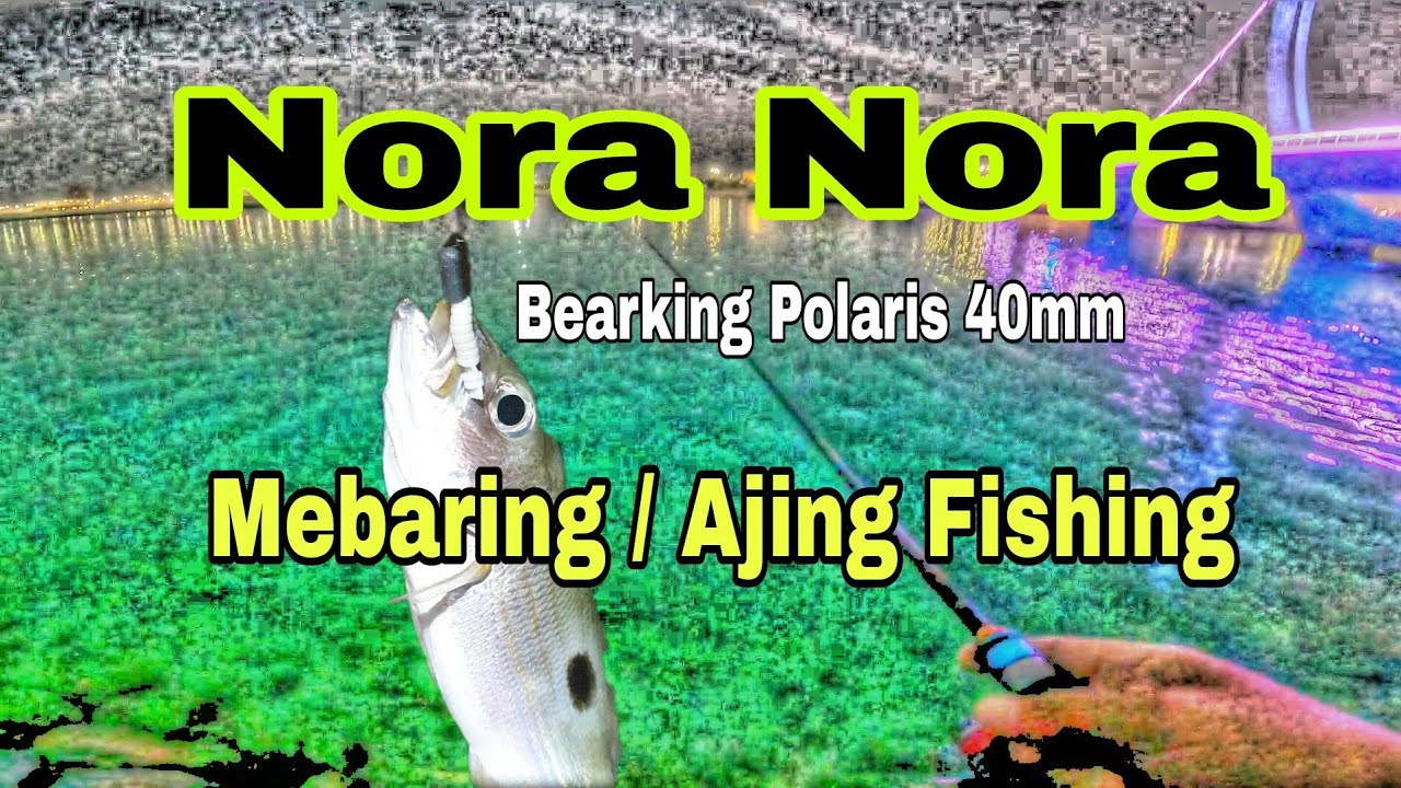 Nora Nora sa Lusail , Mebaring / Ajing Fishing #fishing #ajing # ...