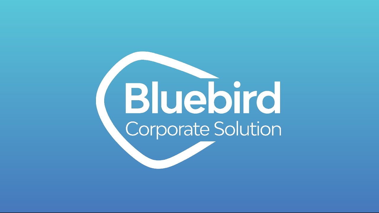 Bluebird Group Logo