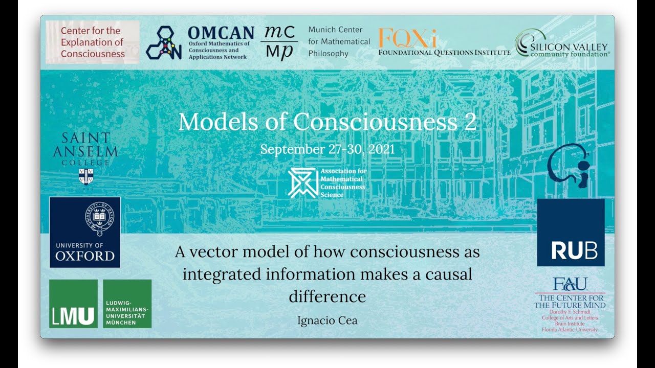 Ignacio Cea –A vector model of how consciousness as integrated ...