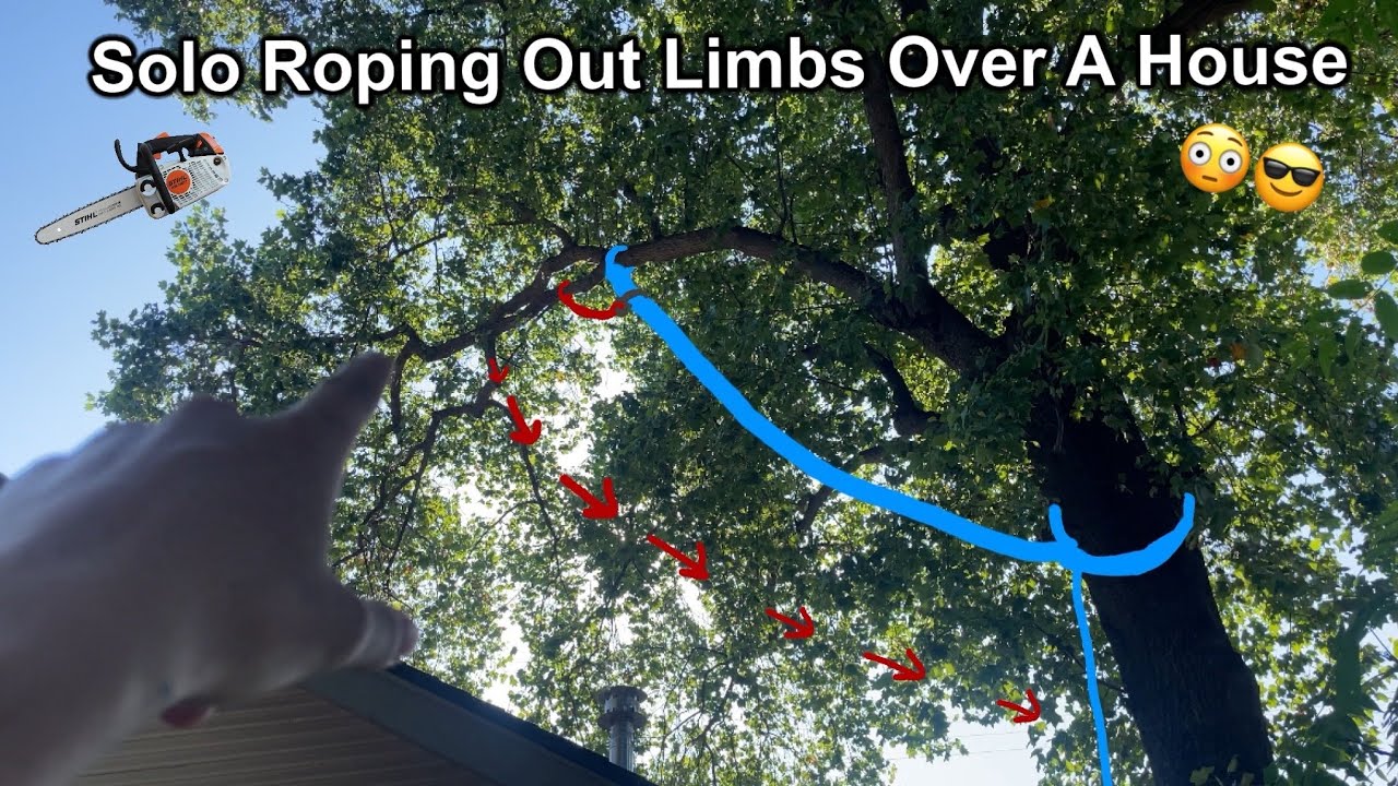 Solo Rigging Tree Work - YouTube