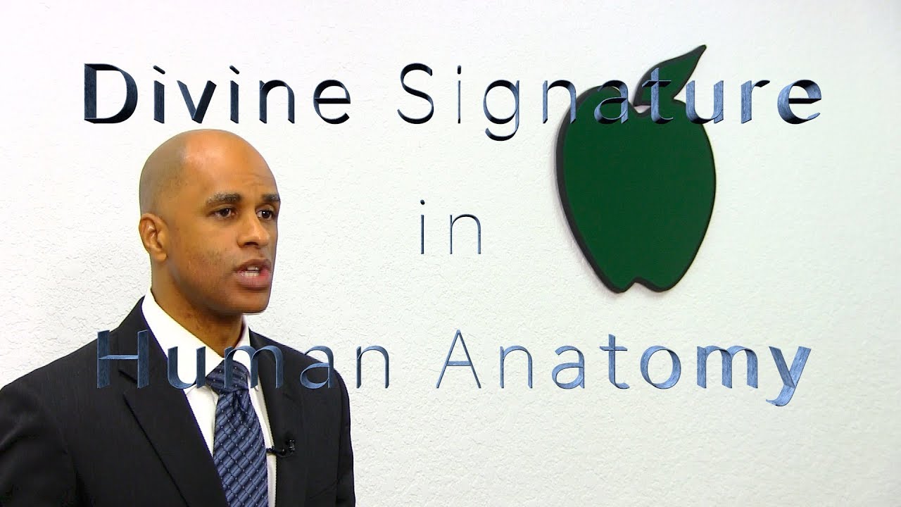 Divine Signature in Human Anatomy - YouTube