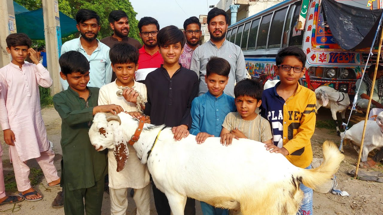 bakra eid ana wali hai tyri pakro. - YouTube