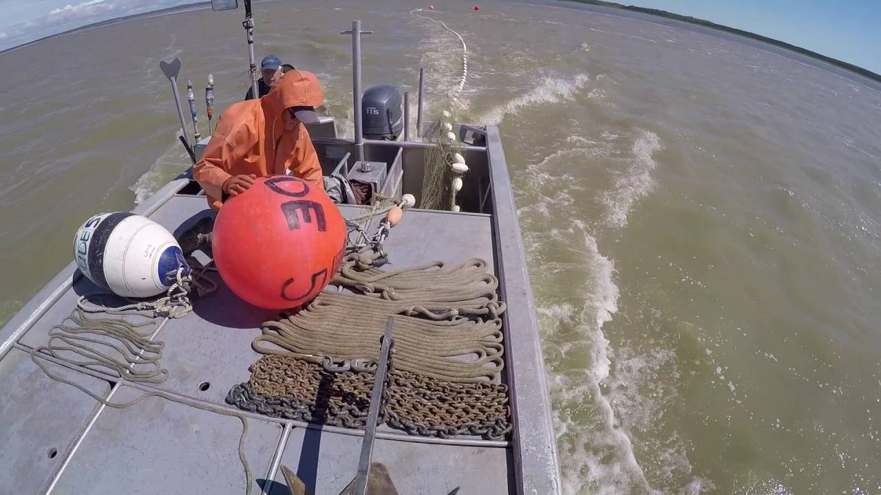 A Day in the Life of a Set Net Fisherman - YouTube