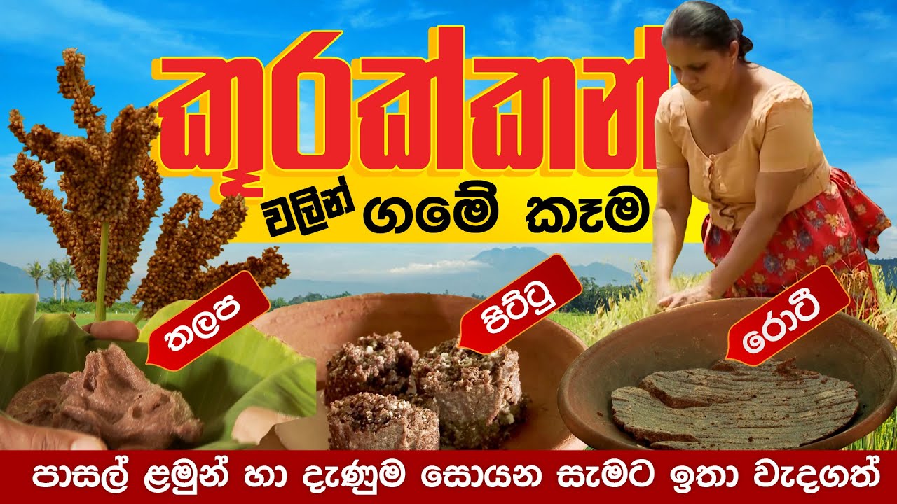 කුරක්කන් වලින් ගමේ කැම | තේවාව | Thewawa Sri Lankan culture Documentary ...