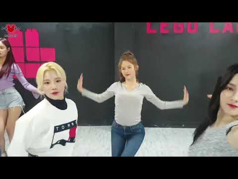 Momoland Lego lable